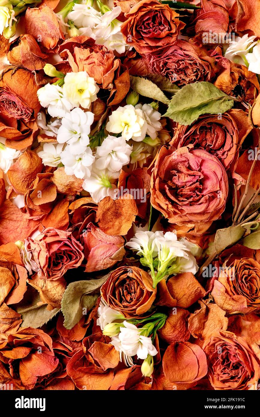 Flat lay floral hi-res stock photography and images - Alamy