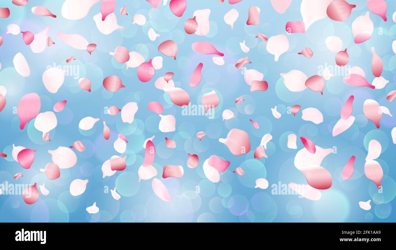 Flying petals. Spring romantic falling petal illustration. Blossom ...