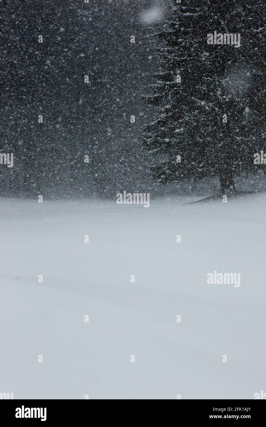 Howling wind hi-res stock photography and images - Alamy