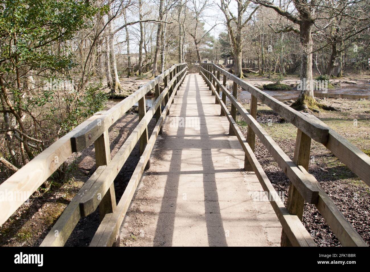 Spring trees New Forest Stock Photo - Alamy