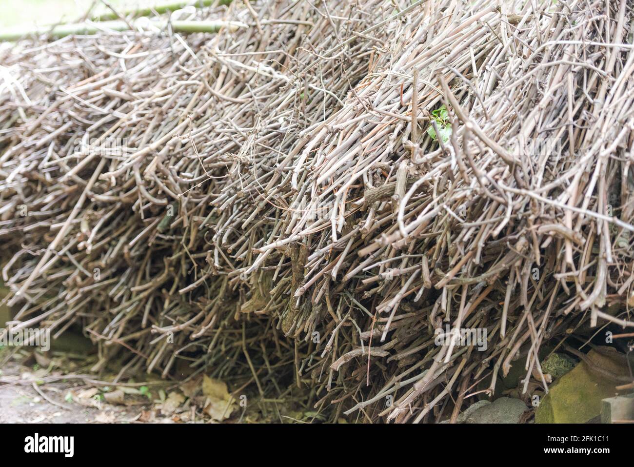 Dead wood is collected in piles. Small branches of trees are gathered ...