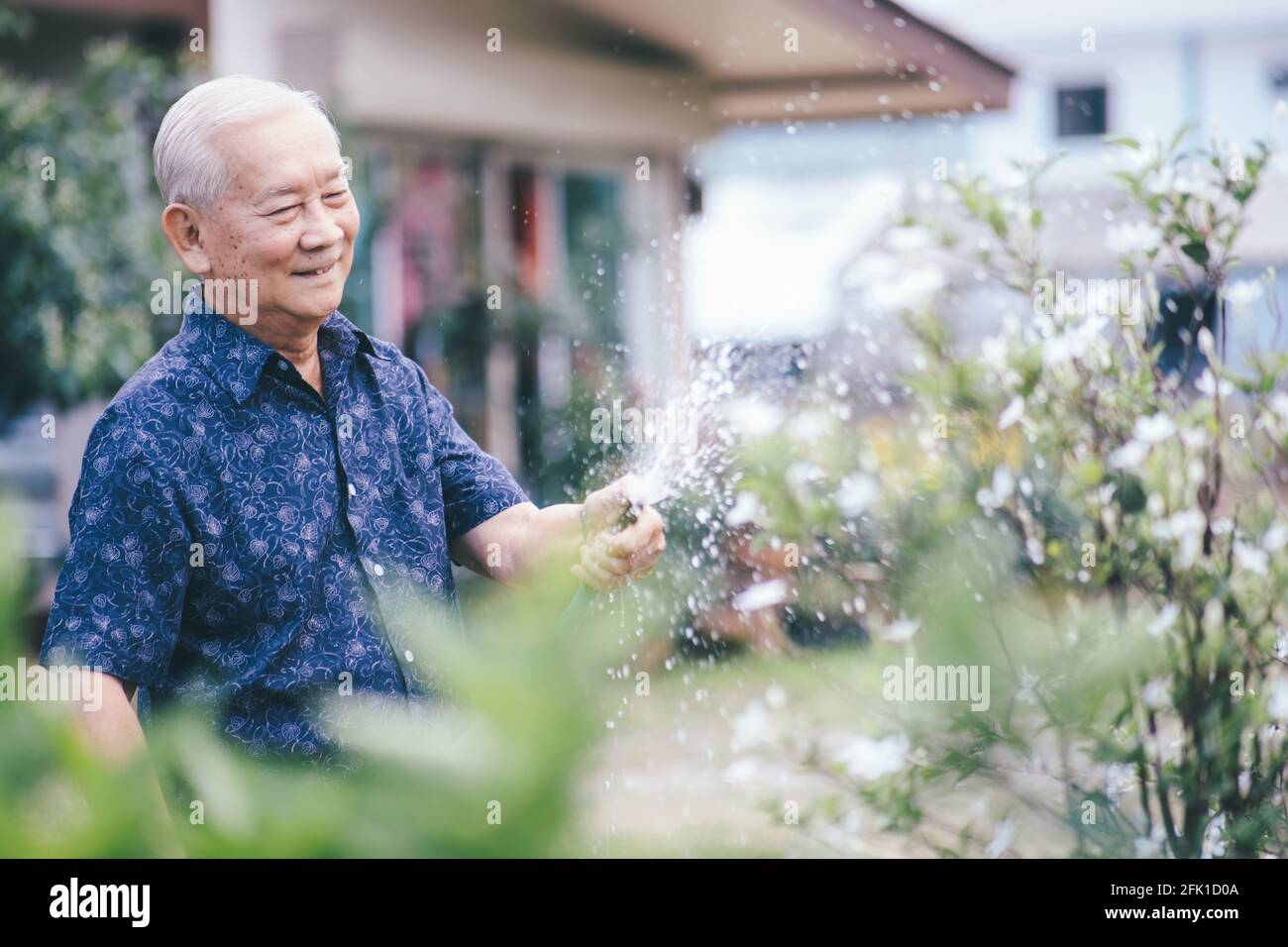 Happy asian senior man hi-res stock photography and images - Alamy