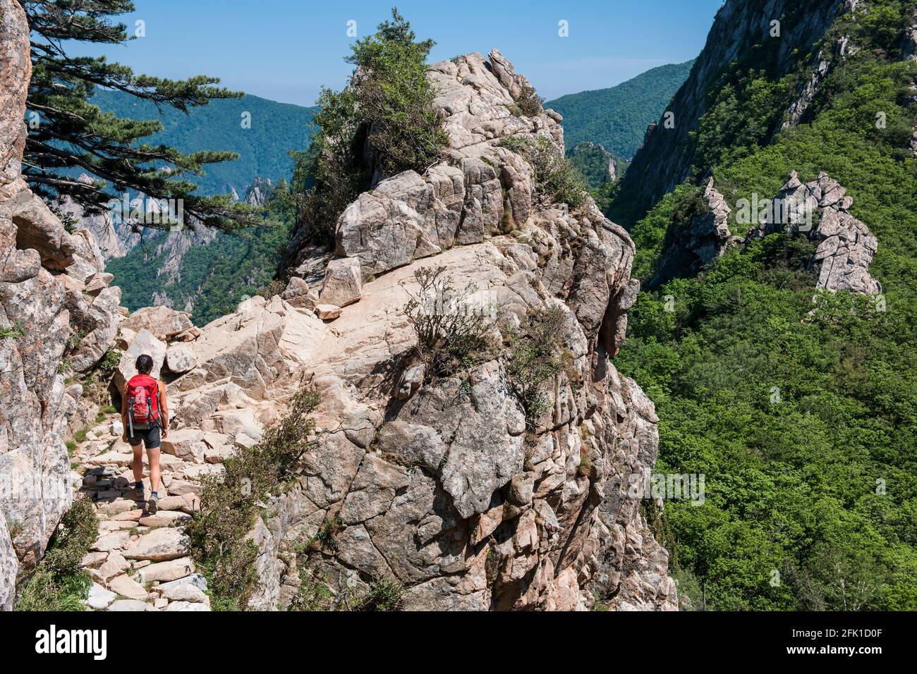 woman hiking over ridge at Seoraksan national park in Korea Stock Photo ...