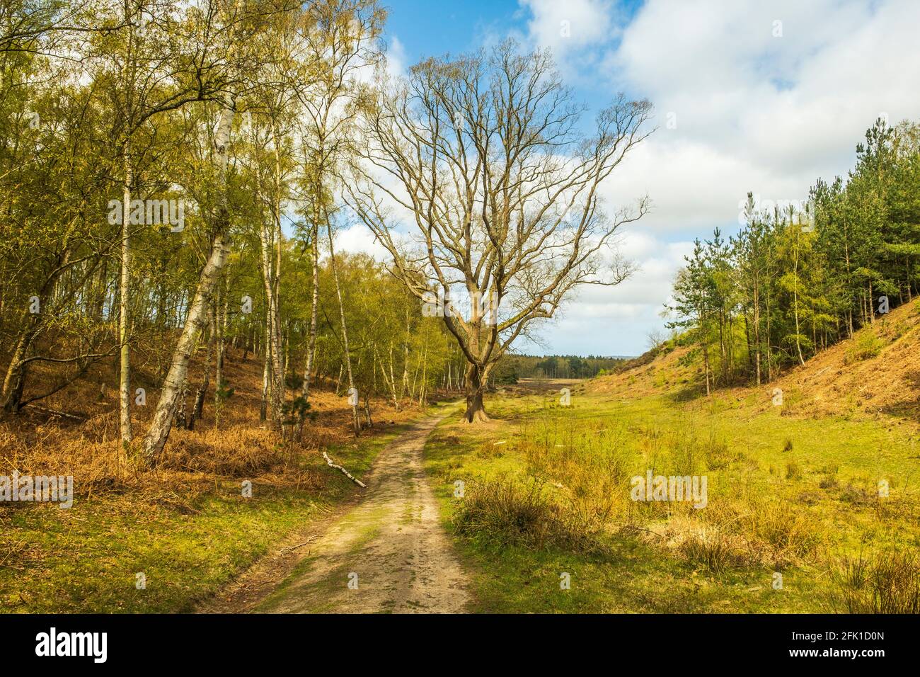 Dersingham hi-res stock photography and images - Alamy