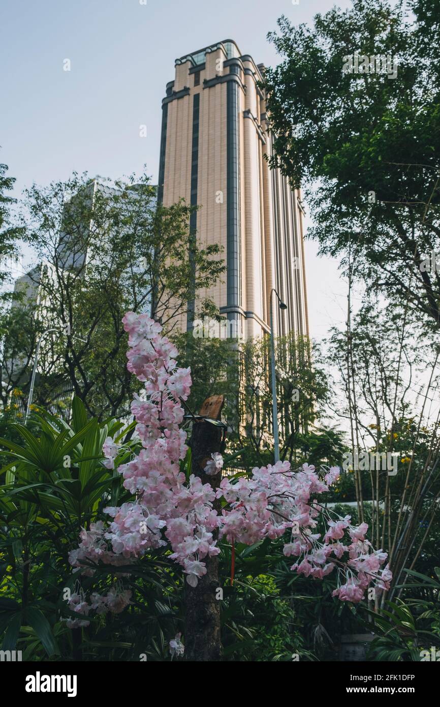 Spring flowers against Modern tall building in downtown Singapore with ...