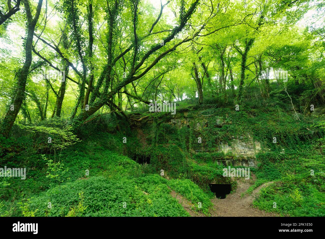 Growing cave quarry france hi-res stock photography and images - Alamy