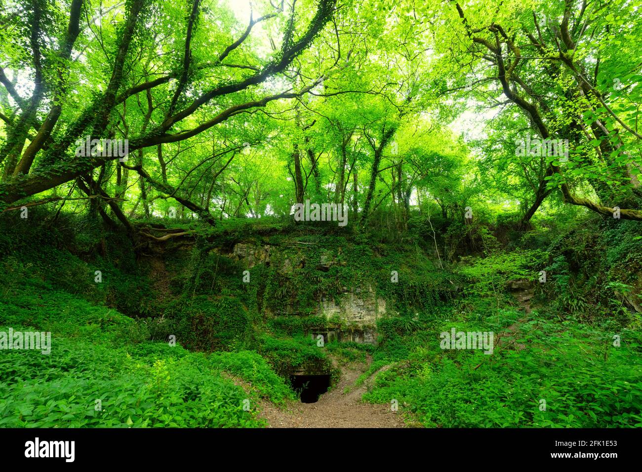 Growing cave quarry france hi-res stock photography and images - Alamy