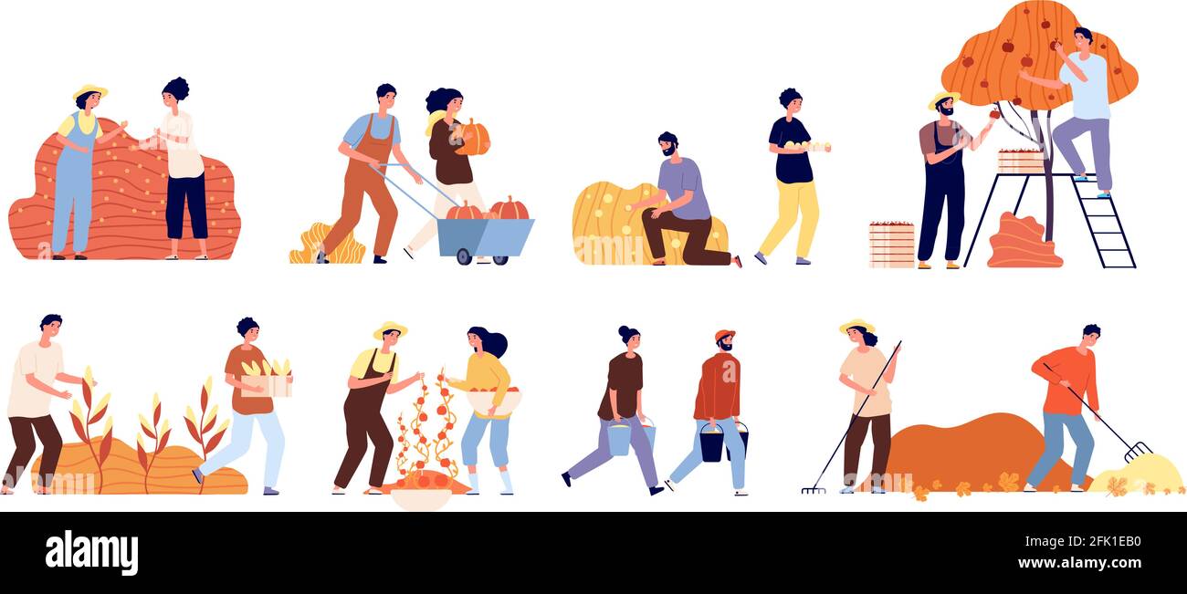 Farmer harvest illustration drawing hi-res stock photography and images ...