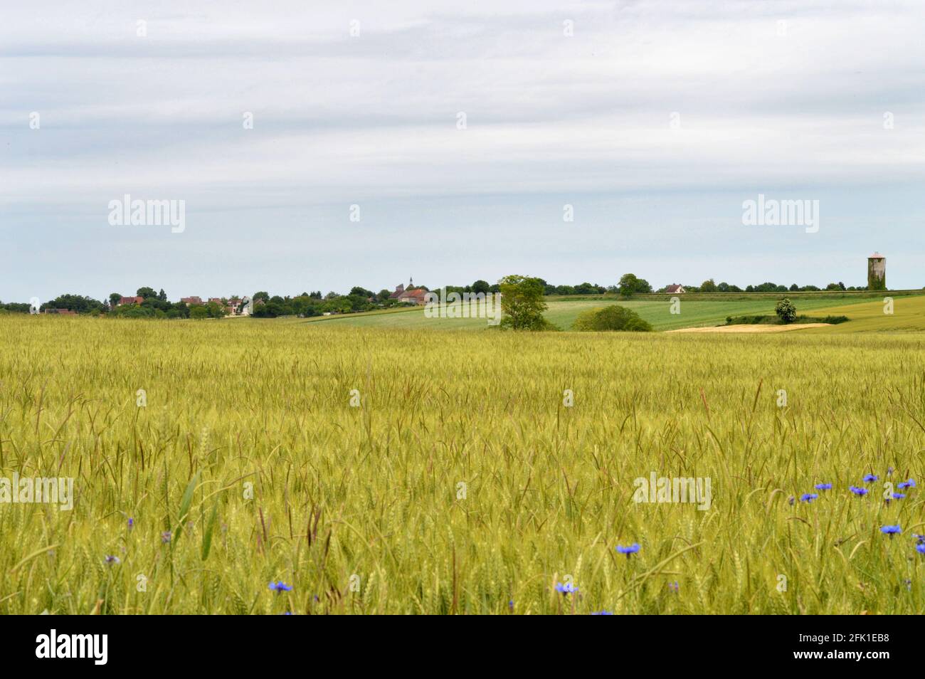 beautiful countryside landscape with a agricultural plain Stock Photo ...