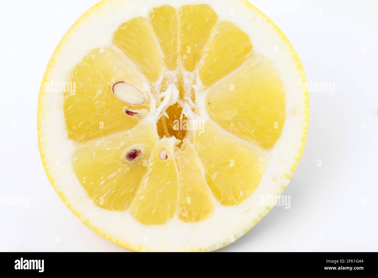 Closeup of sliced lemon on a plate. Macro. Photo can be used as a whole ...