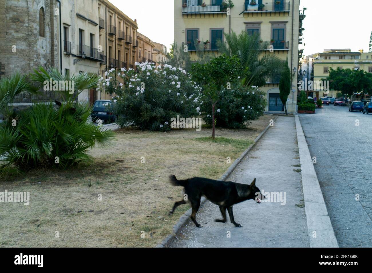 Streetr view hi-res stock photography and images - Alamy