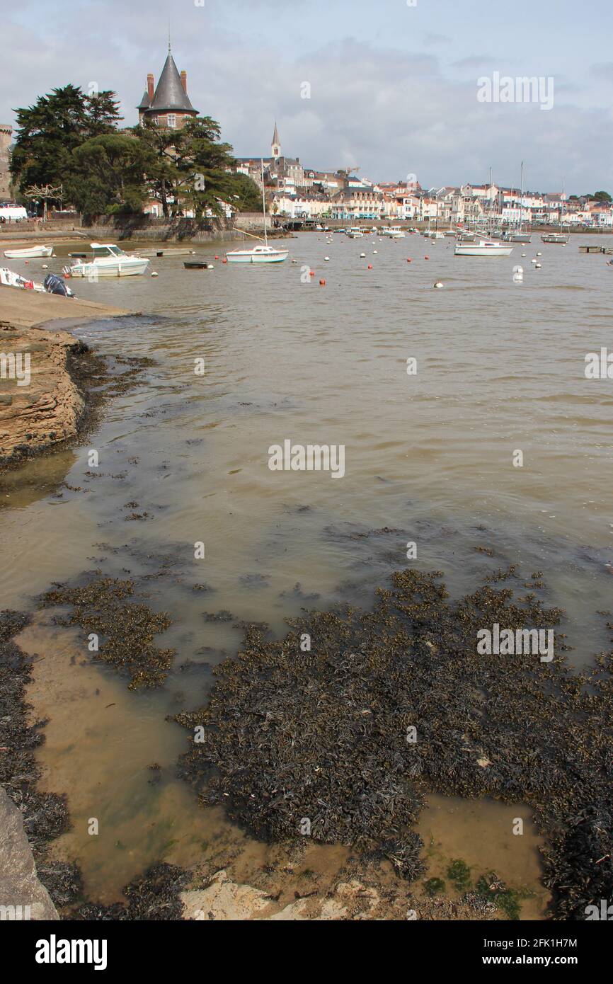 port in pornic in france Stock Photo - Alamy