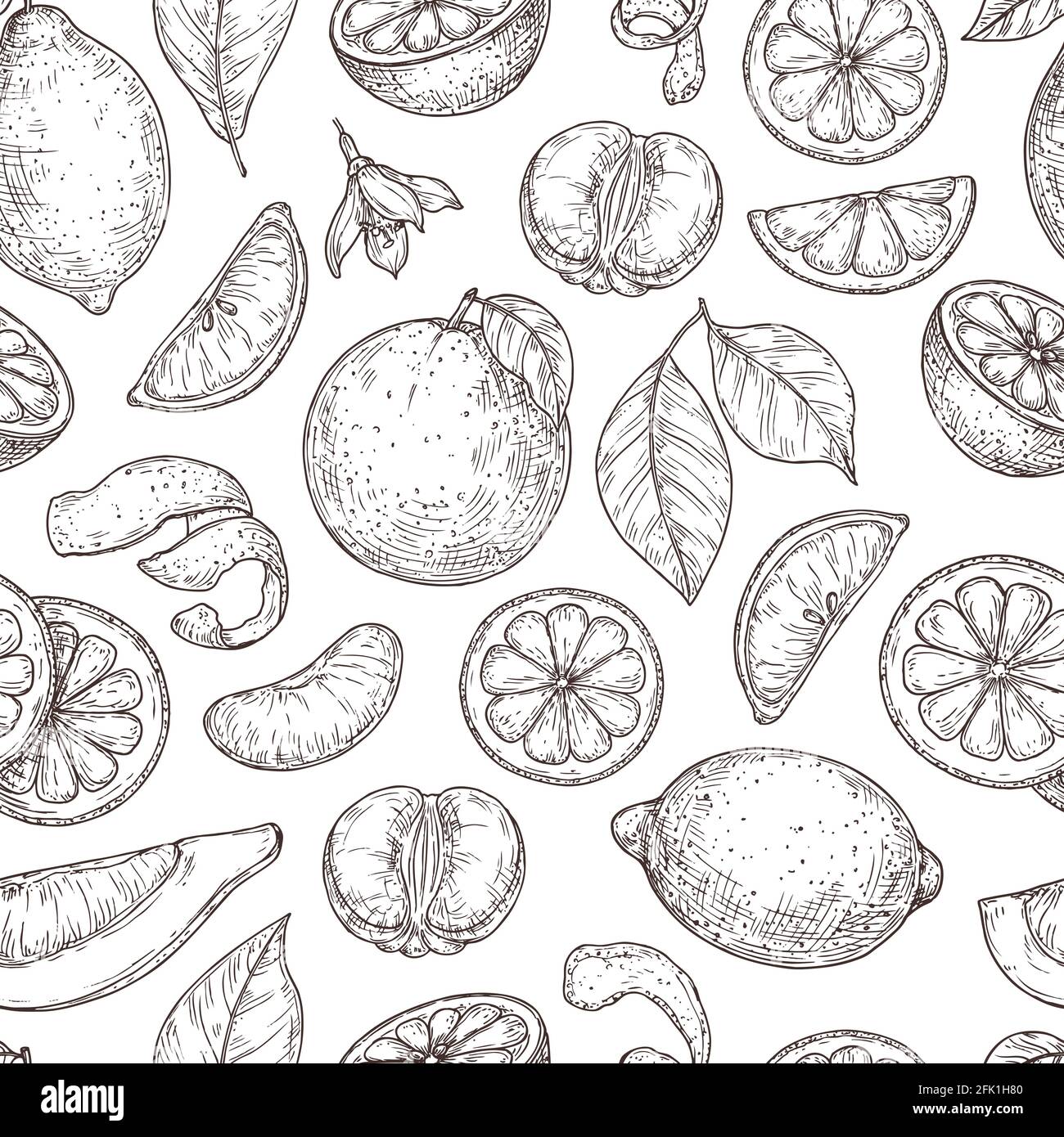 Citrus sketch pattern. Natural lemon orange leaves, lime fruits ...