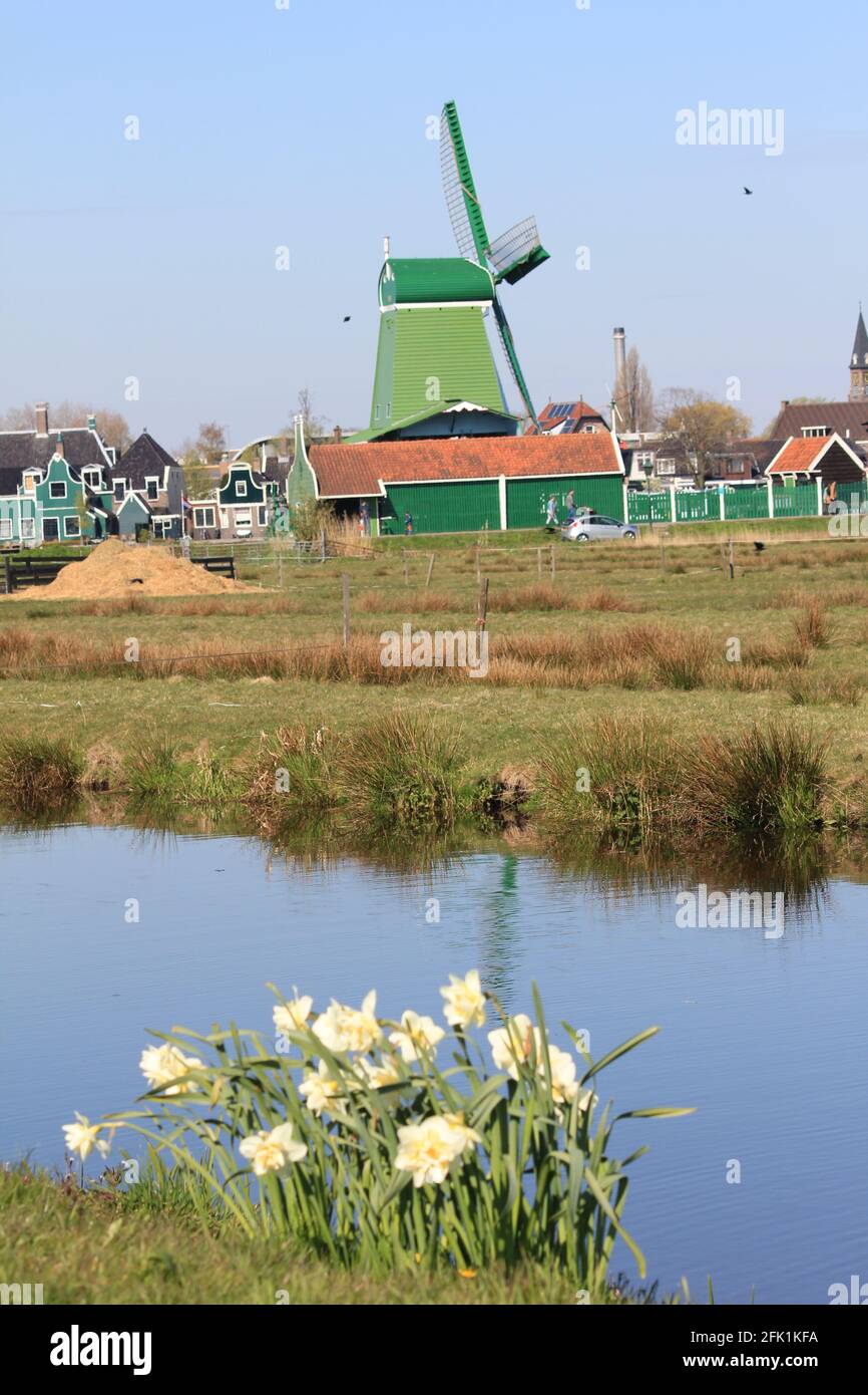 Zaanse Schans in the Netherlands Stock Photo - Alamy