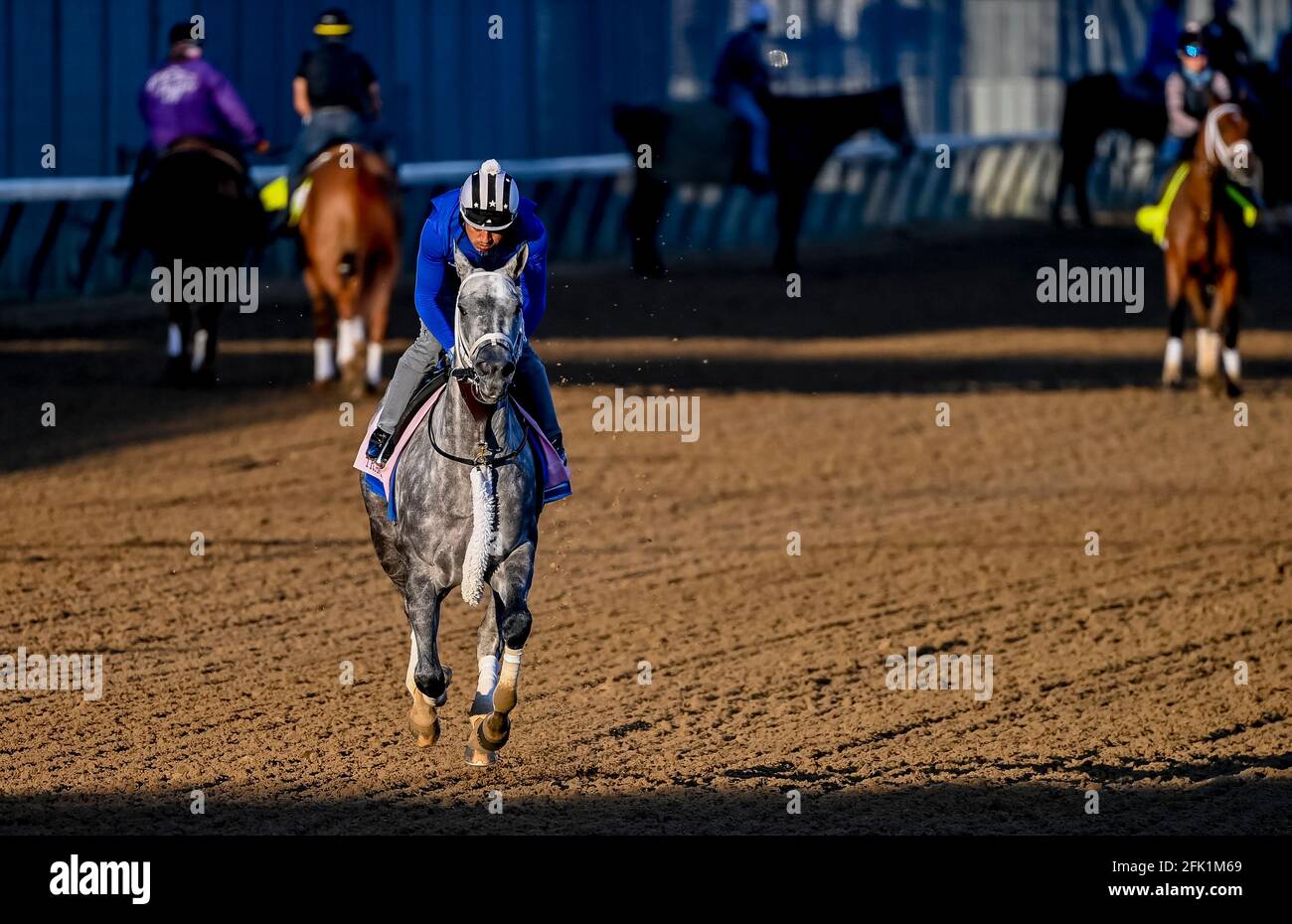 Brad cox horse hi-res stock photography and images - Alamy