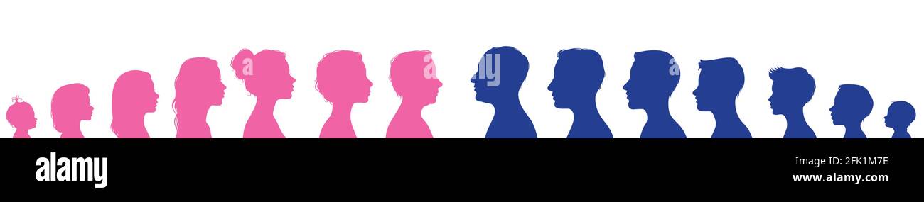 Human life chart. Colorful vector illustration Stock Vector Image & Art ...