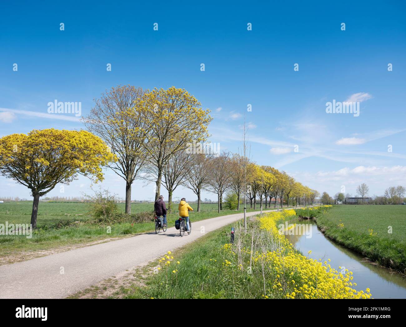 Bicycle in the countryside hi-res stock photography and images - Alamy