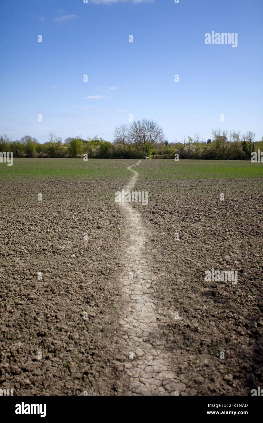 Farming pathway hi-res stock photography and images - Alamy