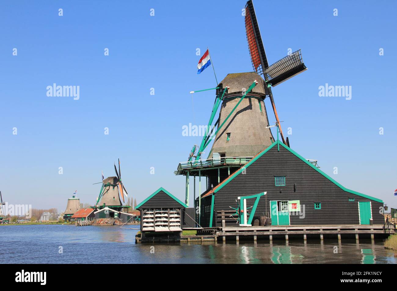 Zaanse schans sheep hi-res stock photography and images - Alamy