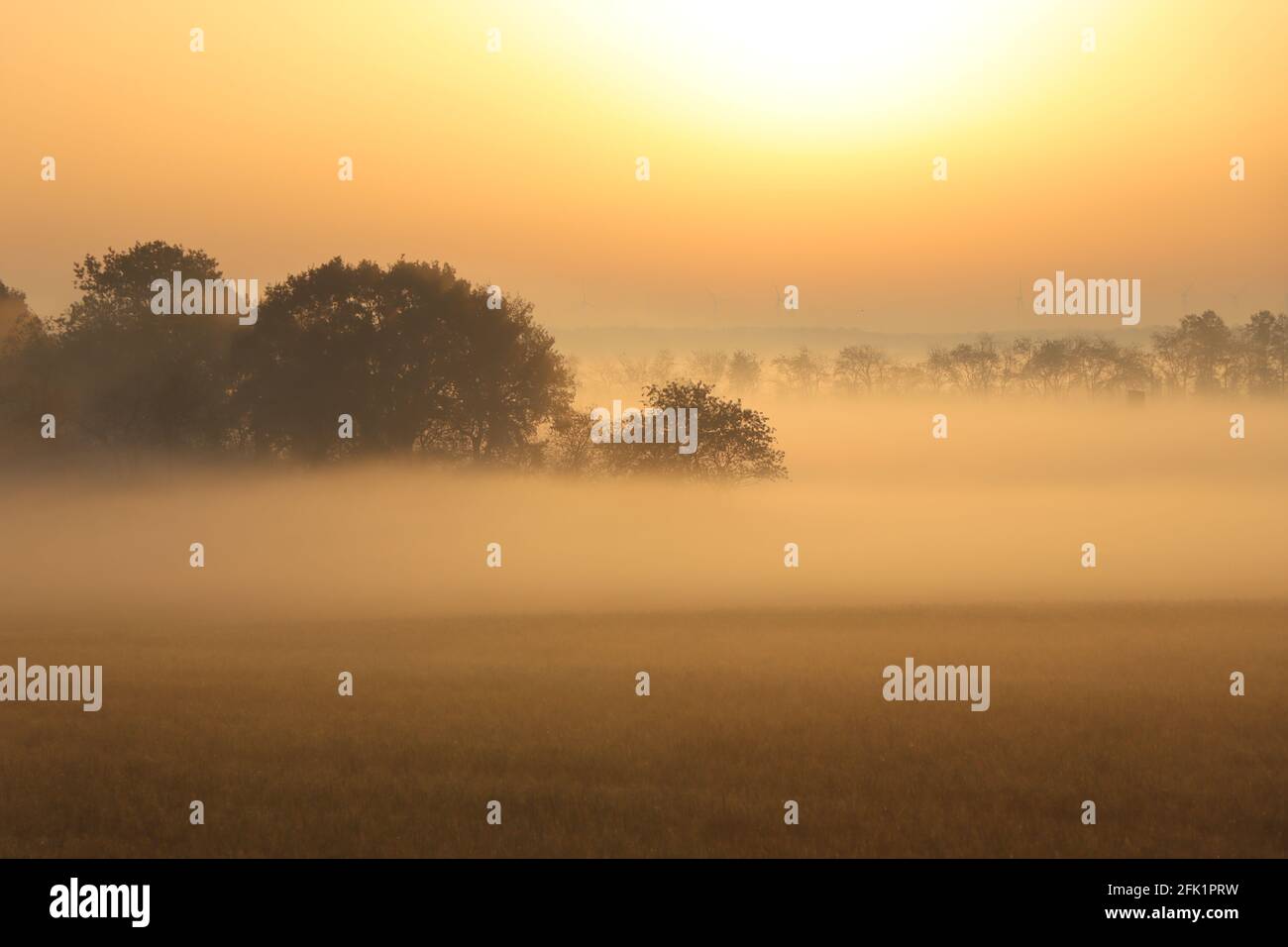 Sunrise foggy Morning sunrise with fog Emsland/Germany Stock Photo - Alamy