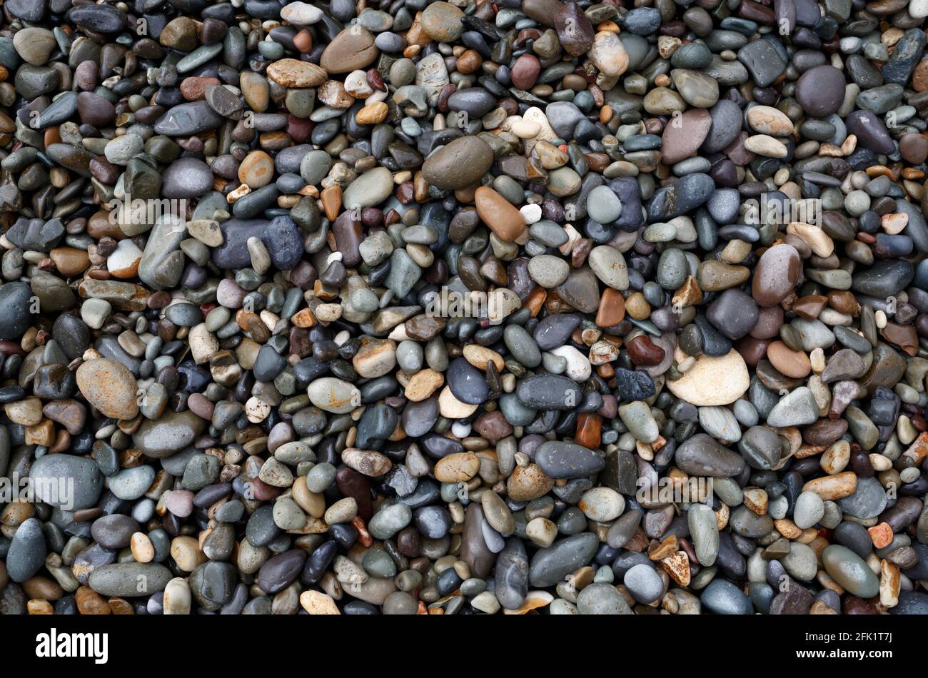 wet gray pebbles on the seashore. great background for design Stock ...