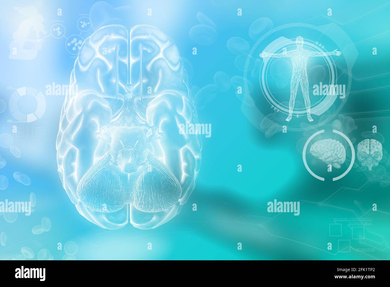 Human brain, brain study concept - very detailed modern texture or ...