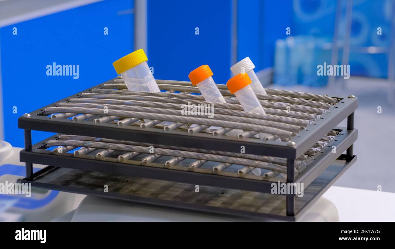 Biological examination hi-res stock photography and images - Alamy