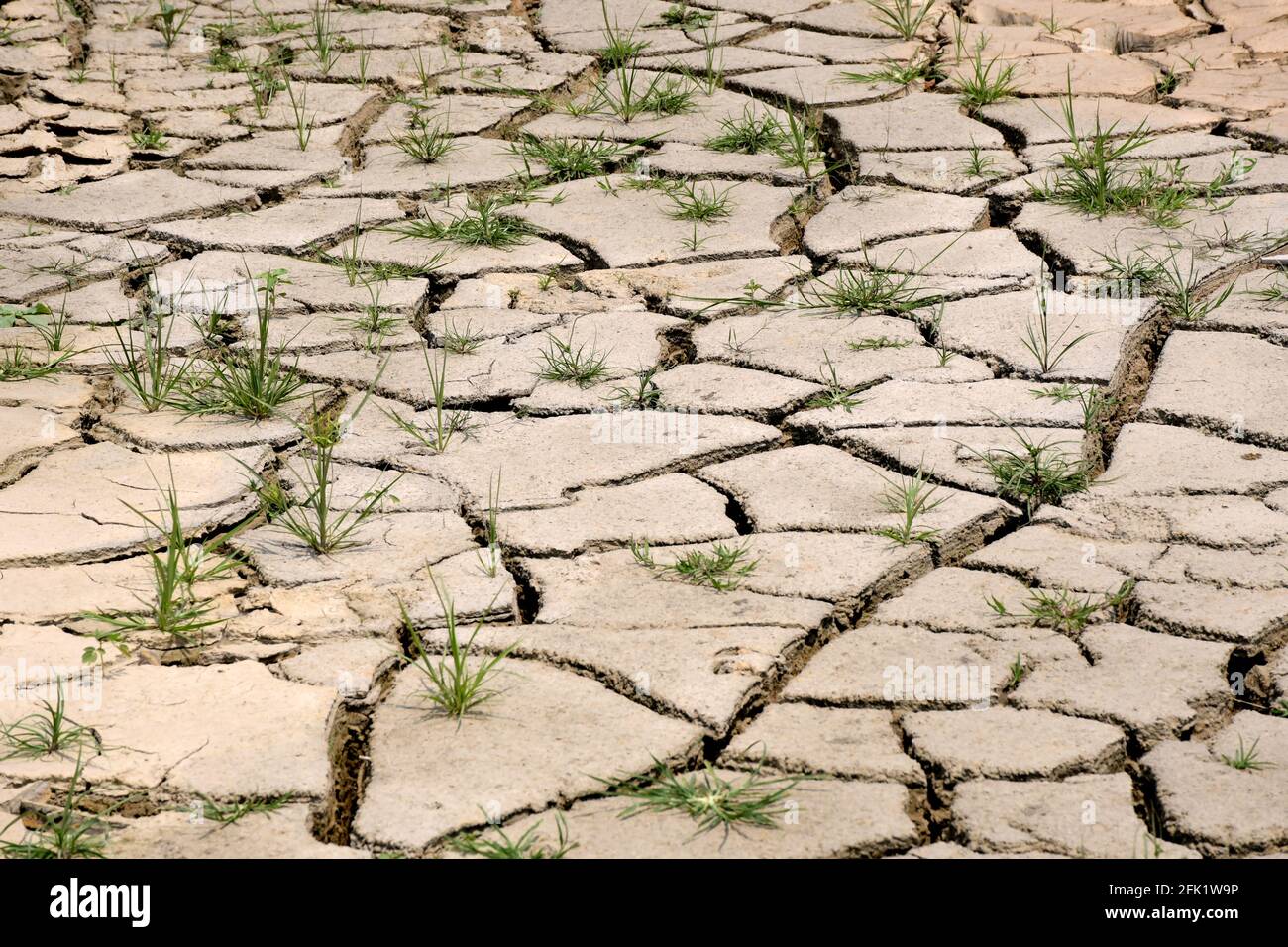 DHAKA, BANGLADESH - April 27: Dry lake bed with dry cracked mud pattern ...
