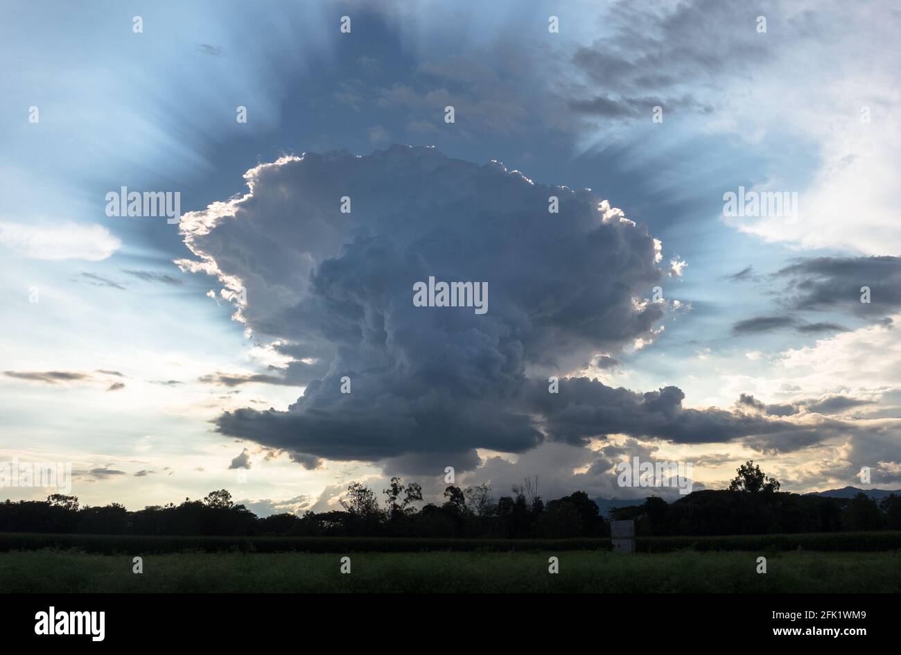 beautiful Colombian natural landscapes, cities, blue skies, animals in ...