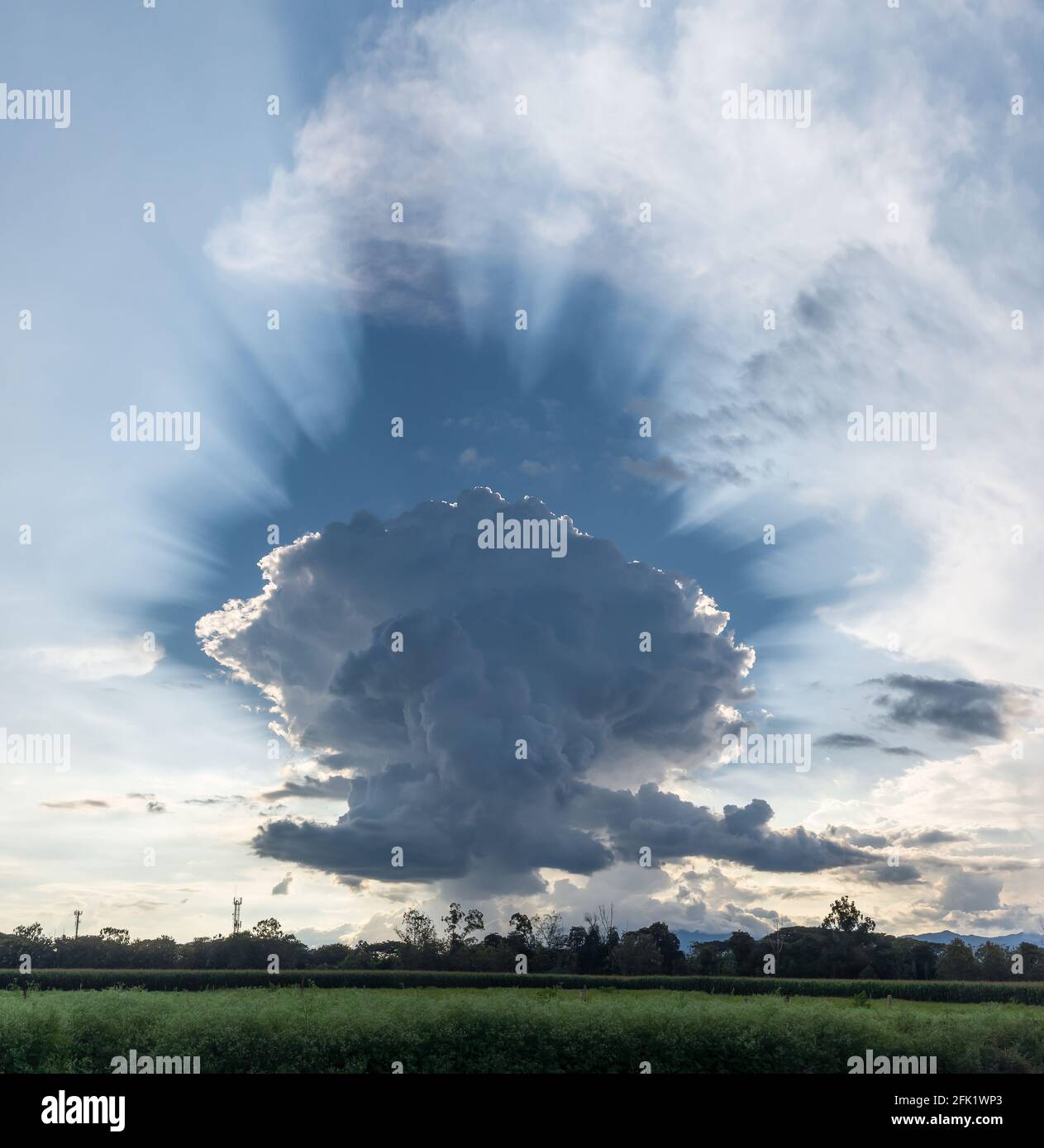 beautiful Colombian natural landscapes, cities, blue skies, animals in ...