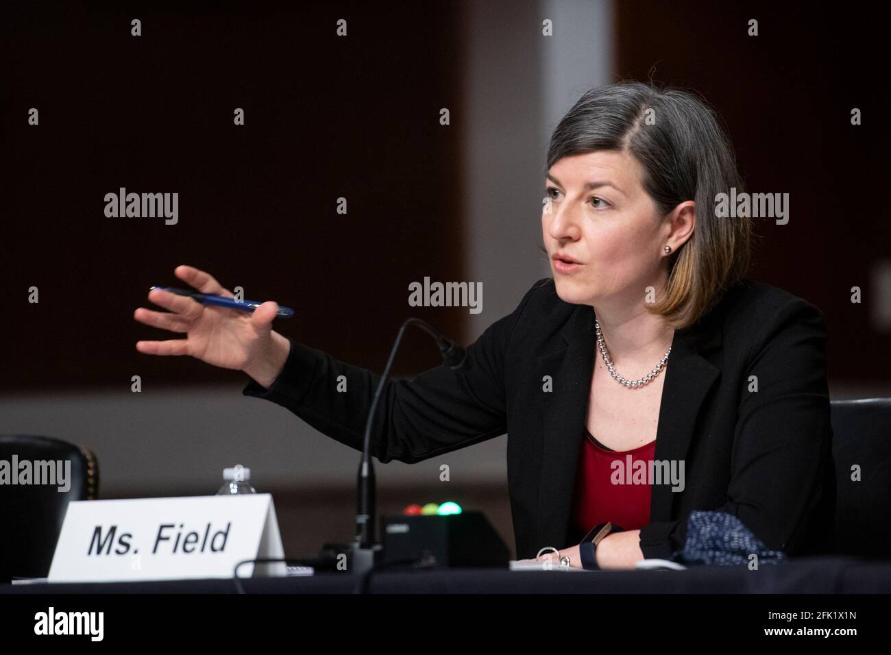 Elizabeth Field, Director, Defense Capabilities and Management, Government Accountability Office ...