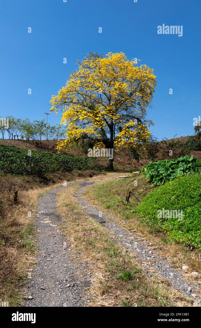 beautiful Colombian natural landscapes, cities, blue skies, animals in ...