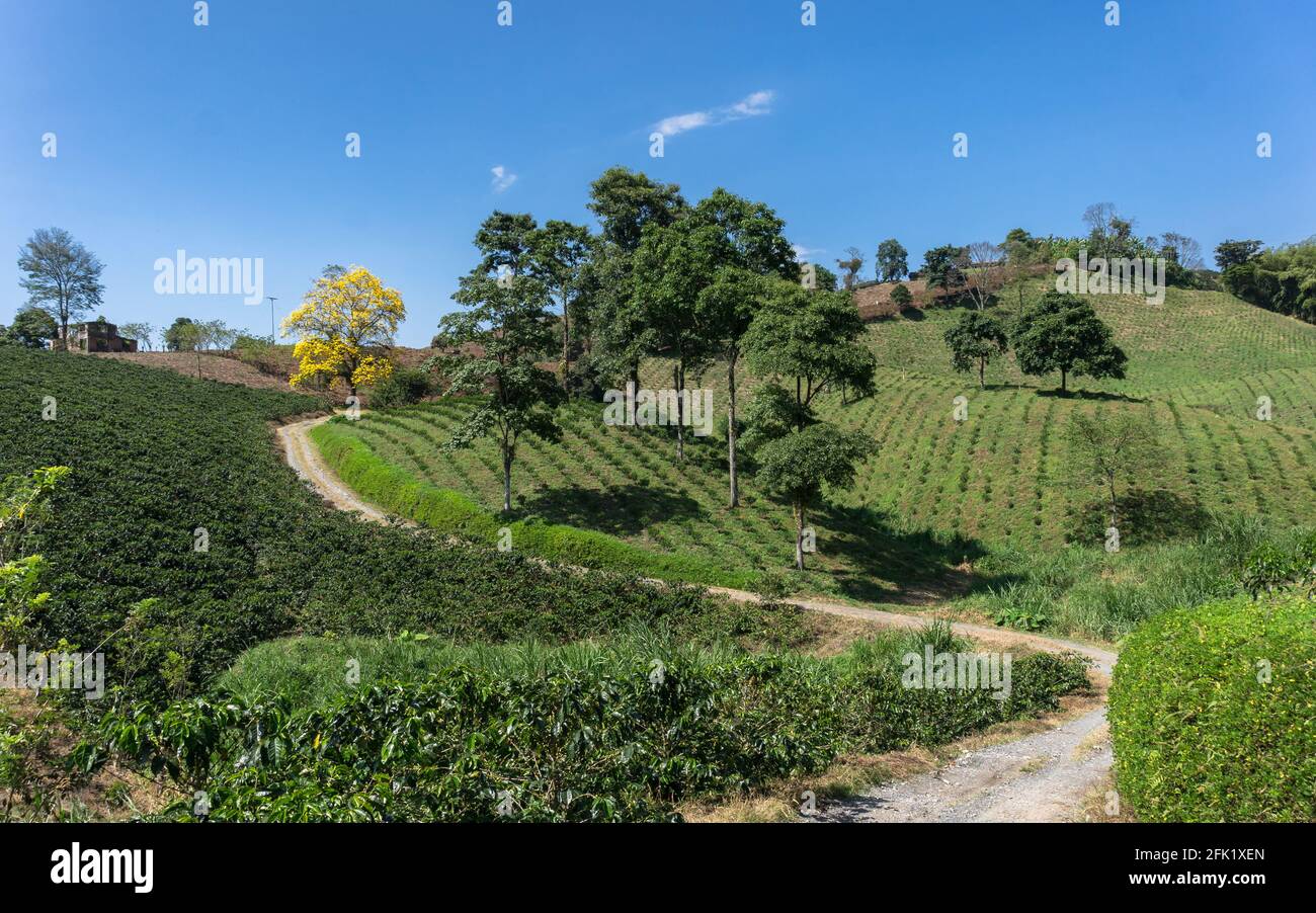 beautiful Colombian natural landscapes, cities, blue skies, animals in ...