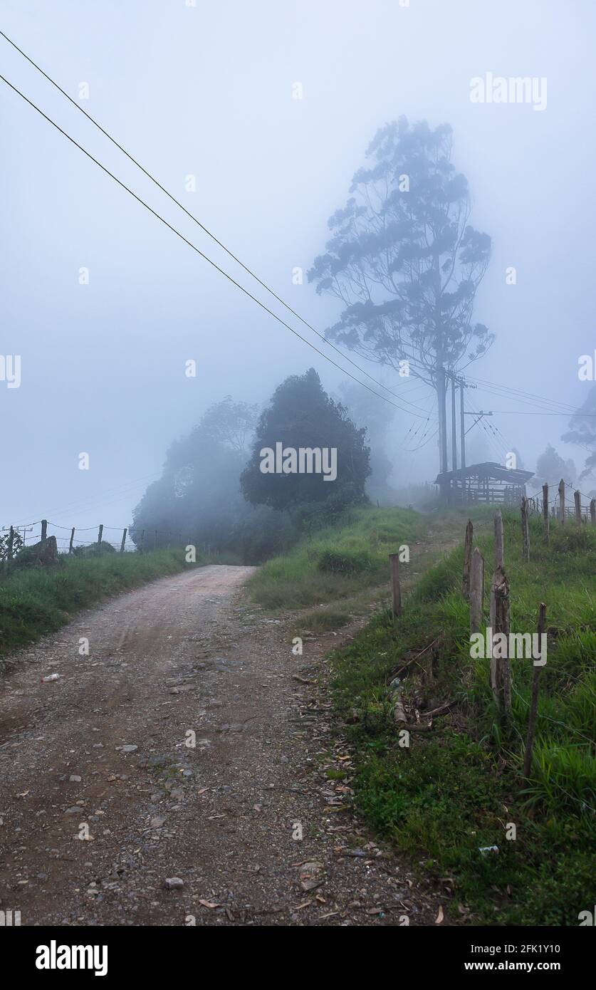beautiful Colombian natural landscapes, cities, blue skies, animals in ...