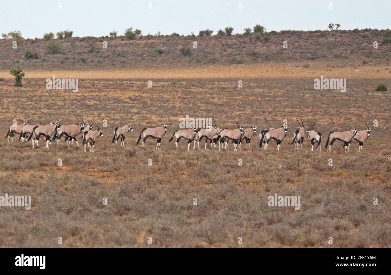 Semi arid climate hi-res stock photography and images - Alamy