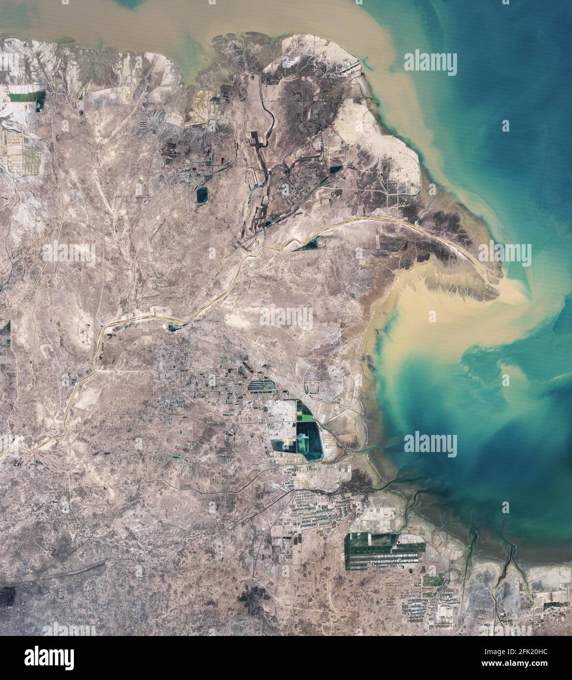NASA satellite image of build up of sediment in delta of Yellow River ...