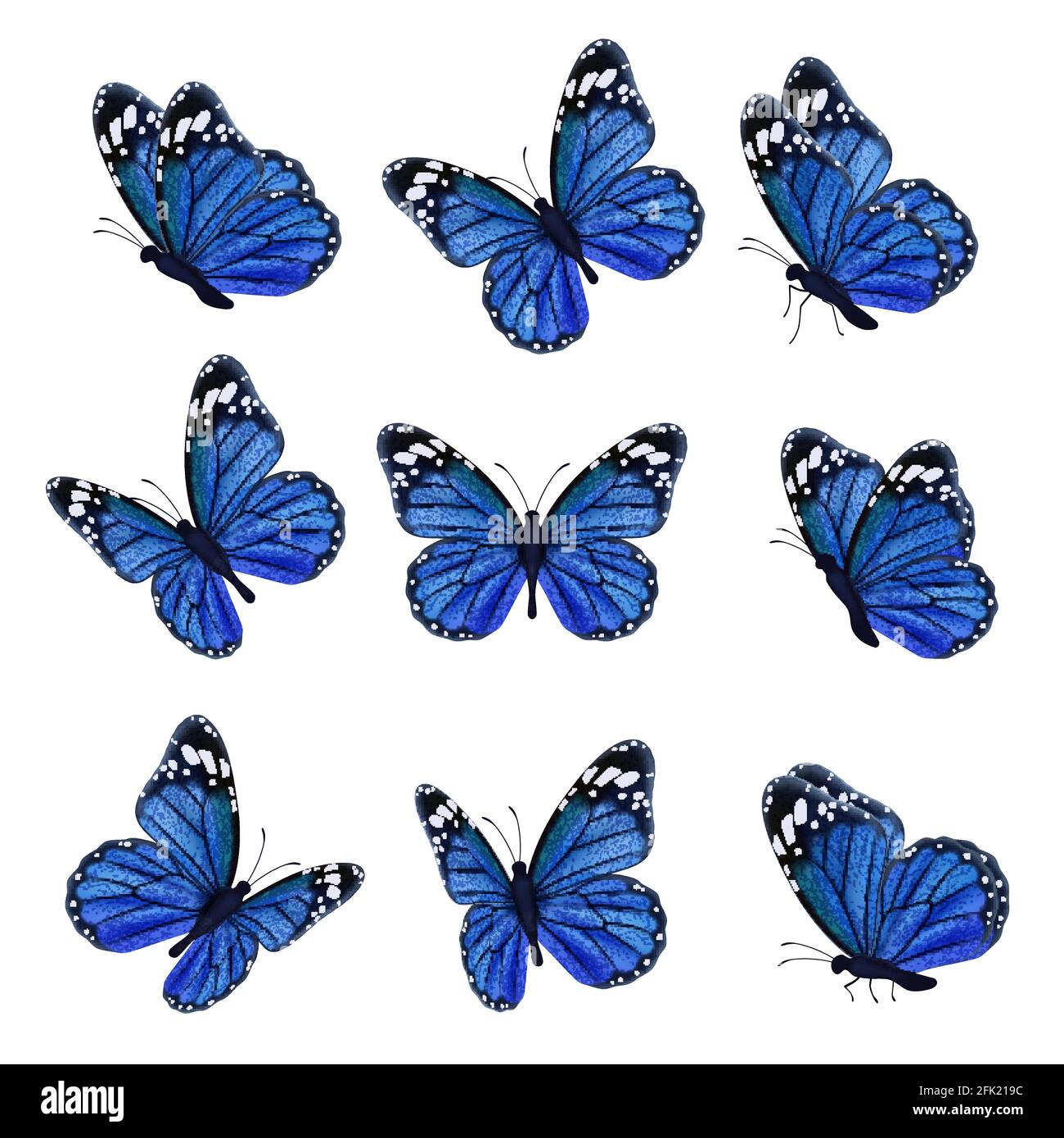 Colored butterflies. Flying beautiful insects wedding butterfly with ...