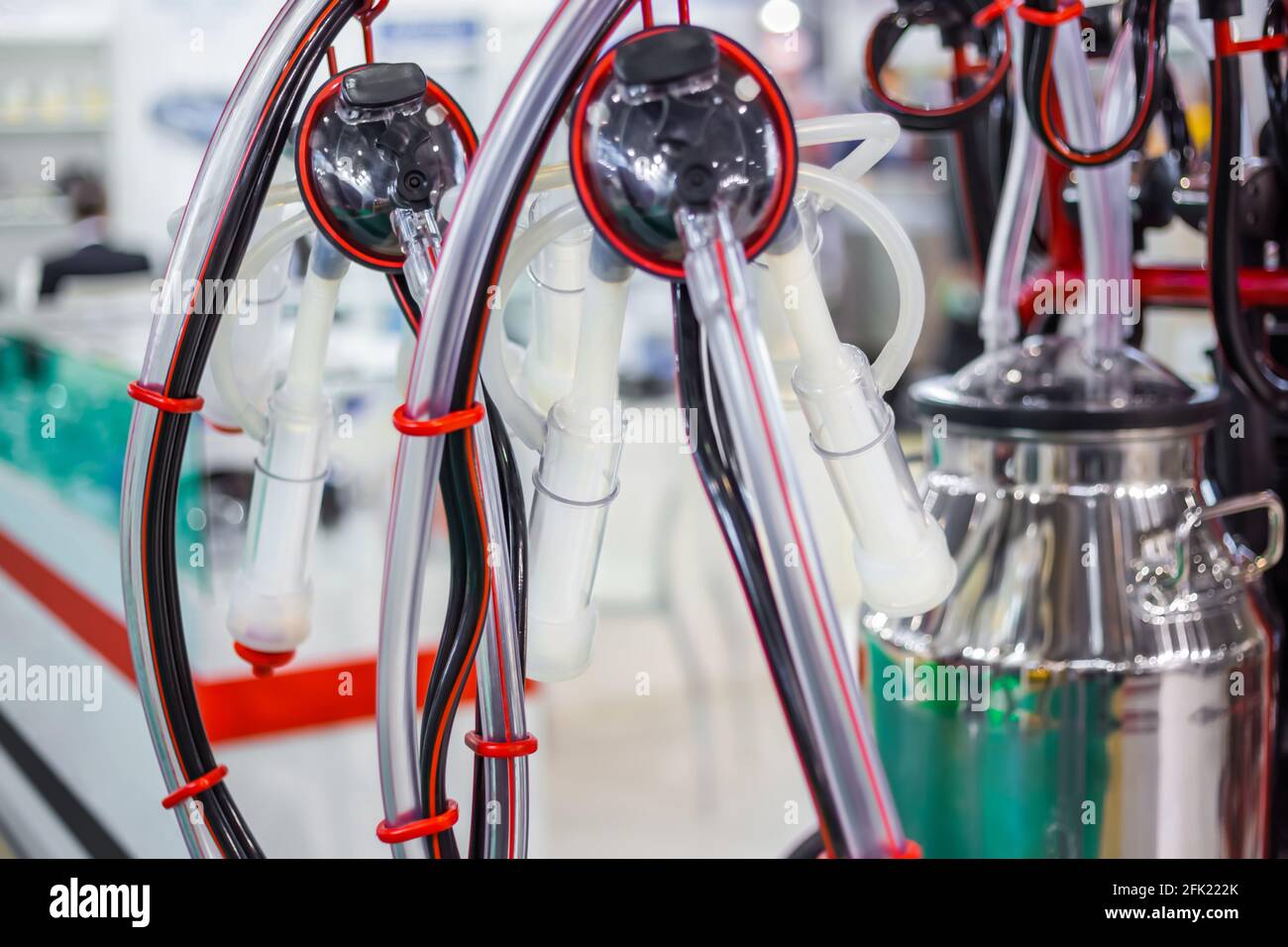 Machine milking cow hi-res stock photography and images - Alamy