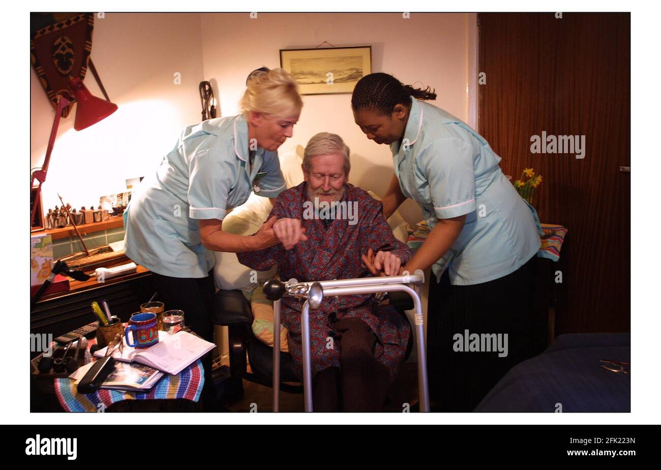 David steele Cut Out Stock Images & Pictures - Alamy