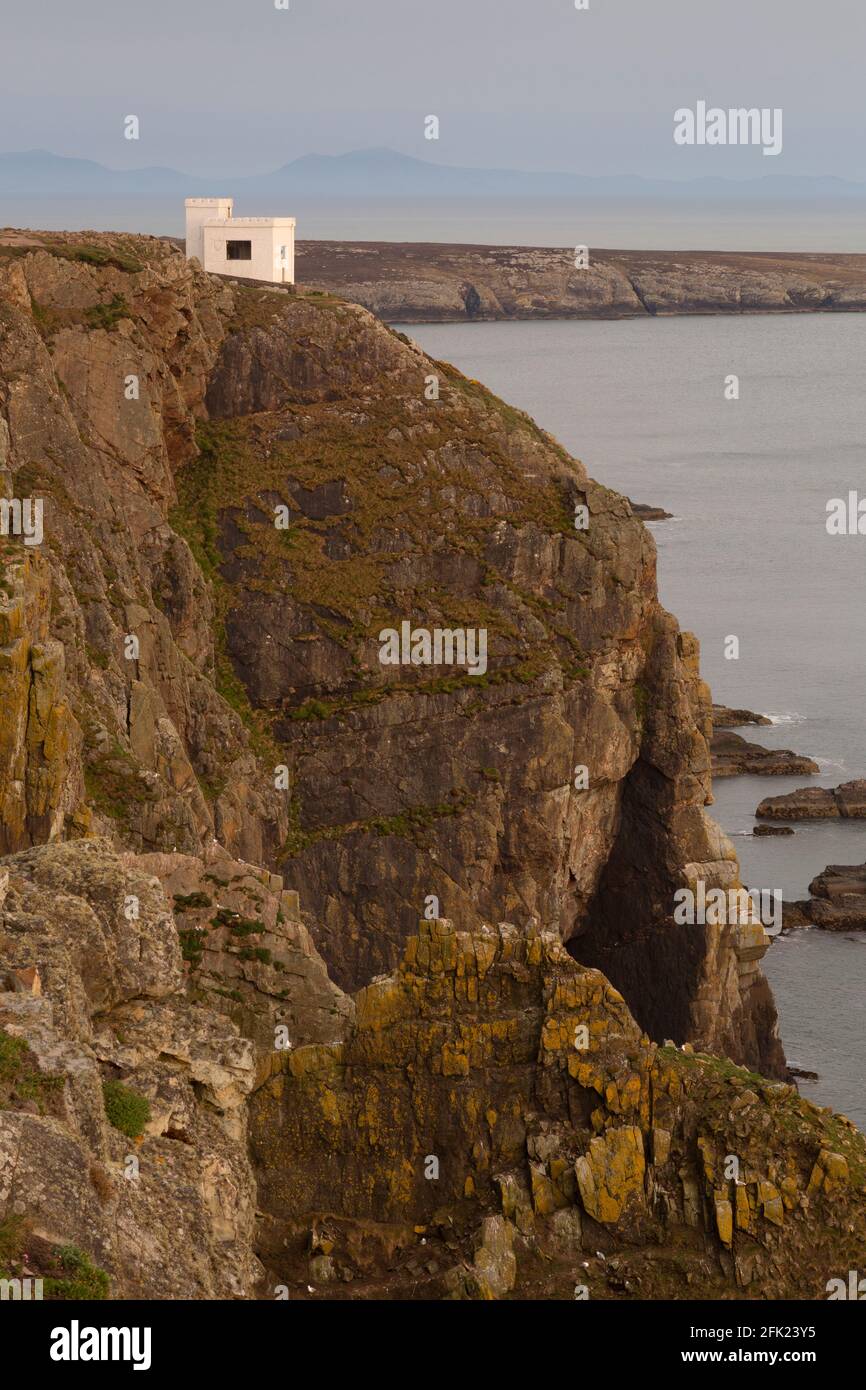 Ellins tower hi-res stock photography and images - Alamy