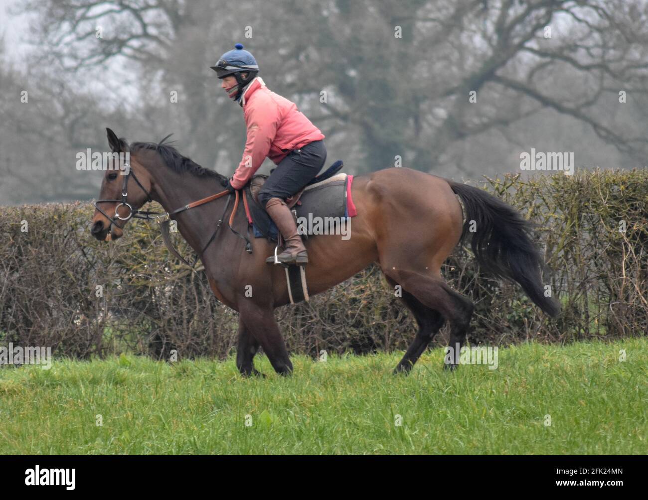 Sam Allwood Horse Racing Stables Stock Photo - Alamy