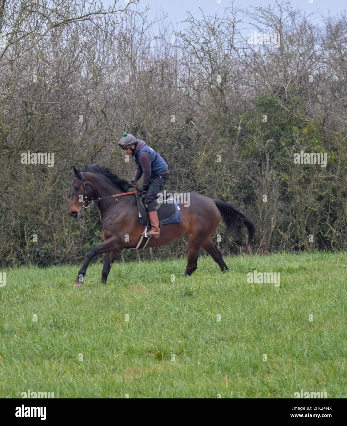 Sam Allwood Horse Racing Stables Stock Photo - Alamy