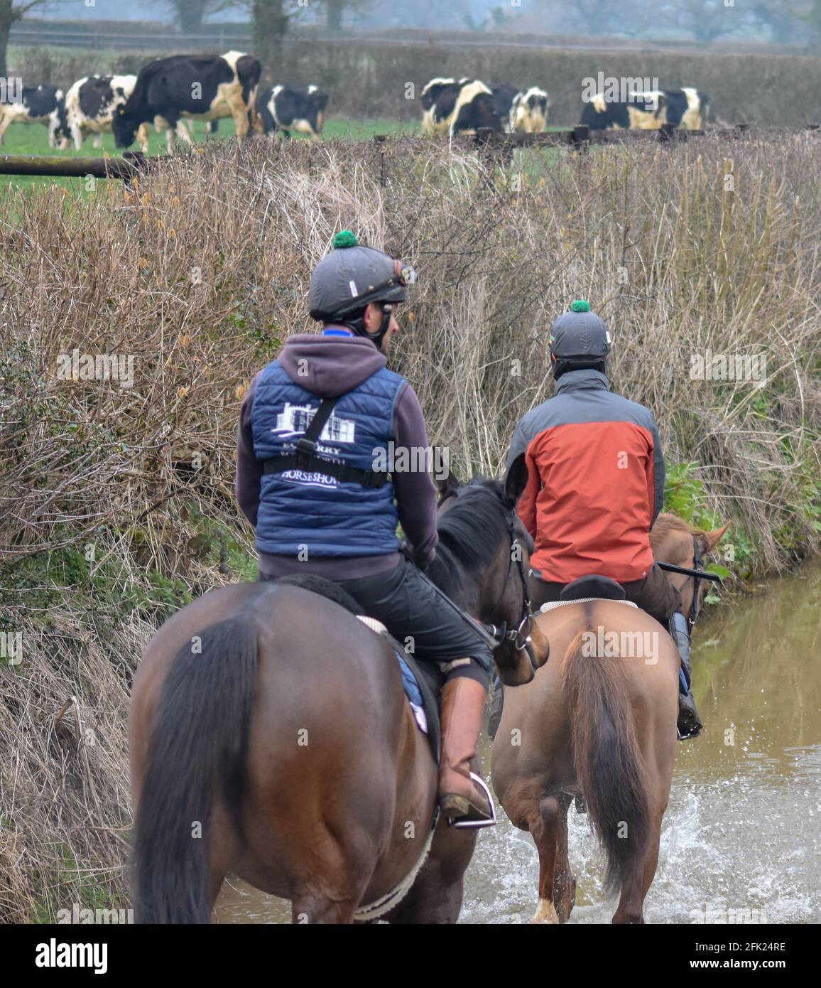 Sam Allwood Horse Racing Stables Stock Photo - Alamy