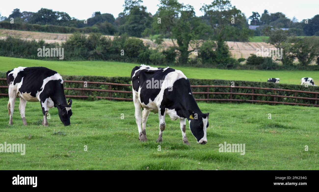 Sam allwood racing hi-res stock photography and images - Alamy