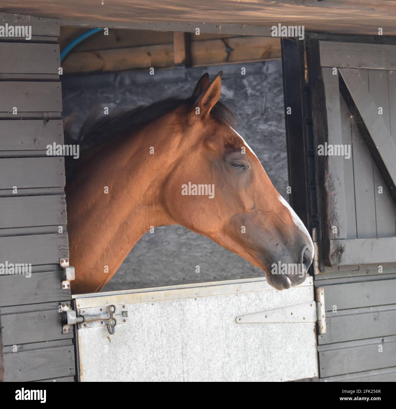 Sam allwood racing hi-res stock photography and images - Alamy