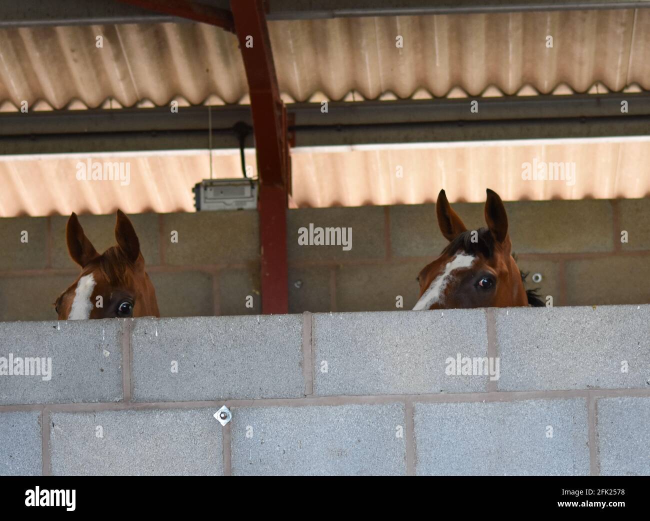 Sam allwood hi-res stock photography and images - Alamy