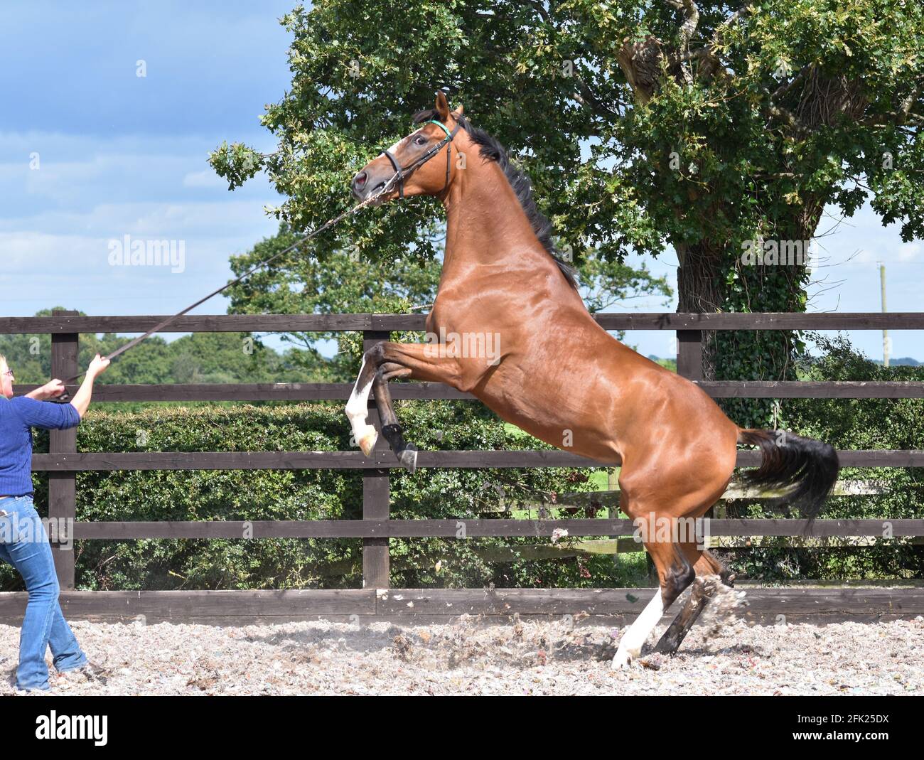 Sam allwood hi-res stock photography and images - Alamy