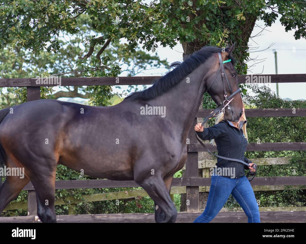 Sam allwood hi-res stock photography and images - Alamy