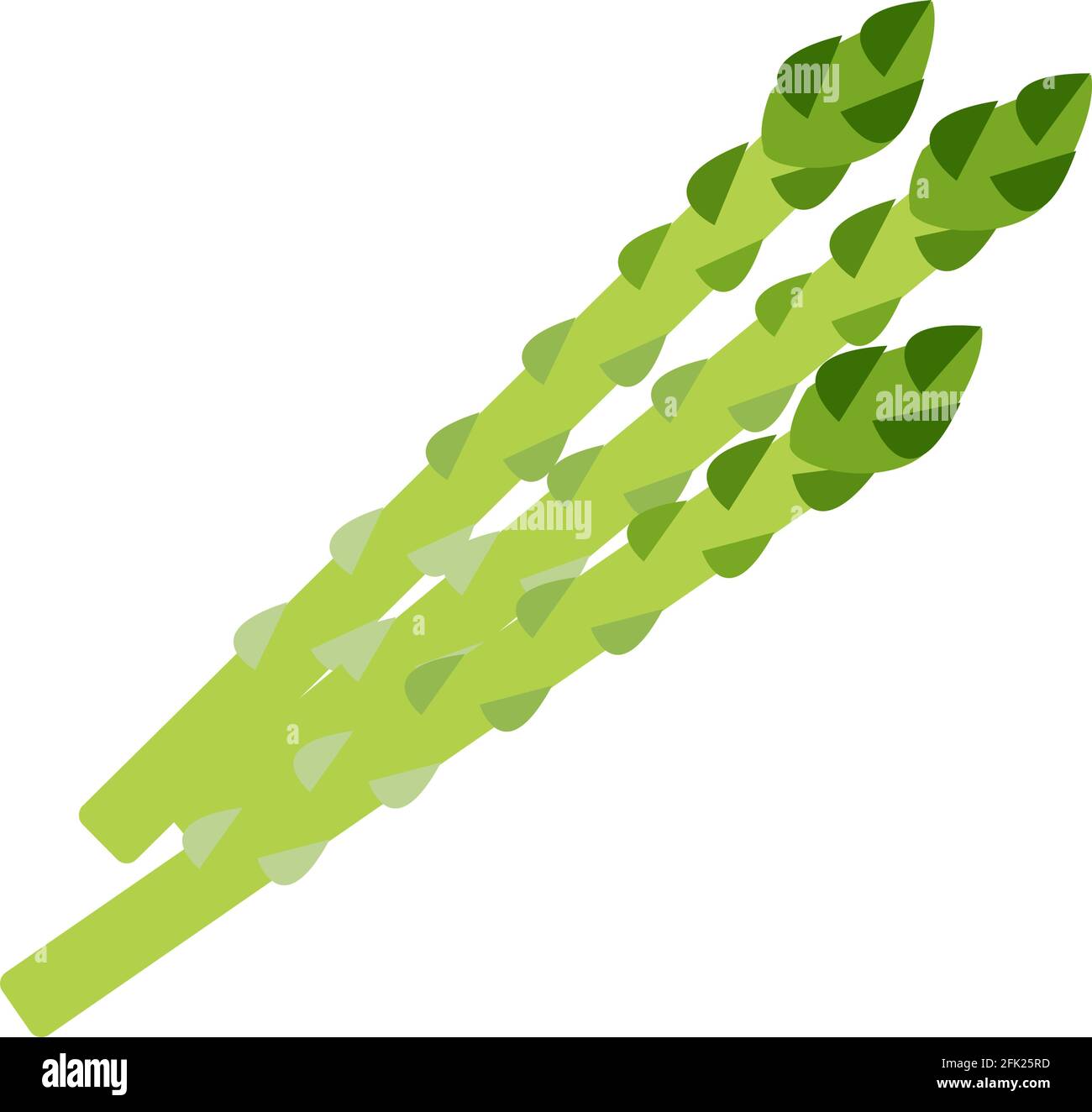 Single asparagus Stock Vector Images - Alamy