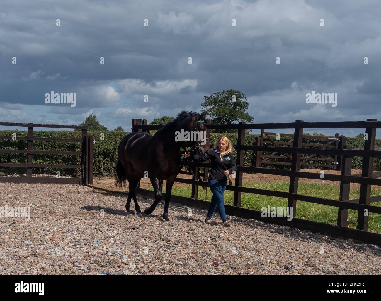 Sam allwood hi-res stock photography and images - Alamy